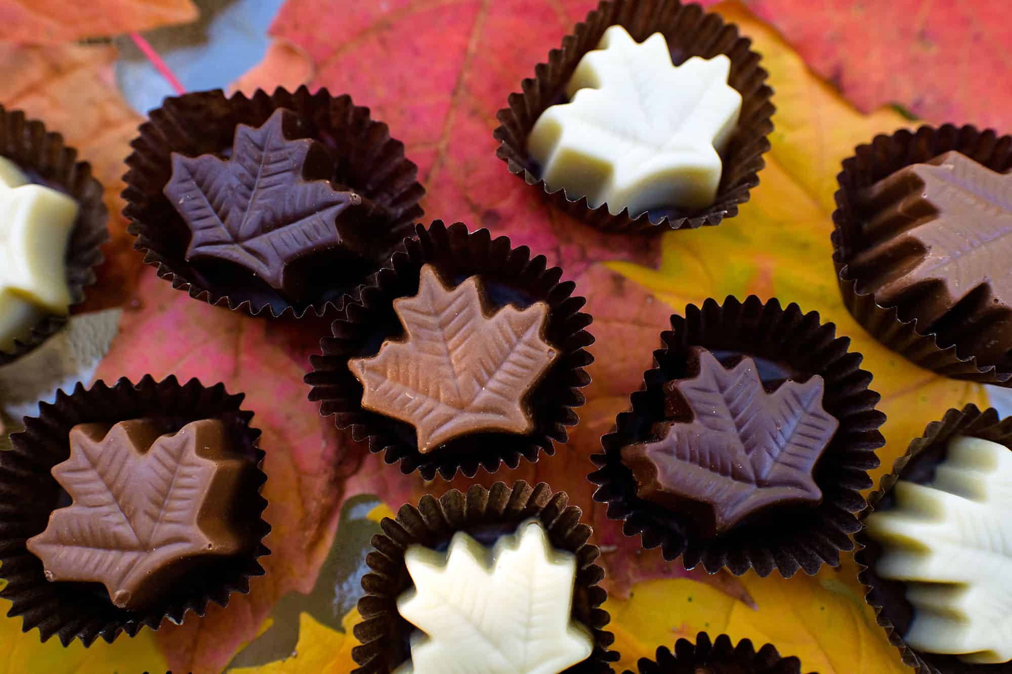 Maple Orchard Farms – Certified Canadian Maple Syrup